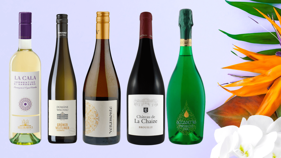 5 Wines To Try This Summer • WineDivaa