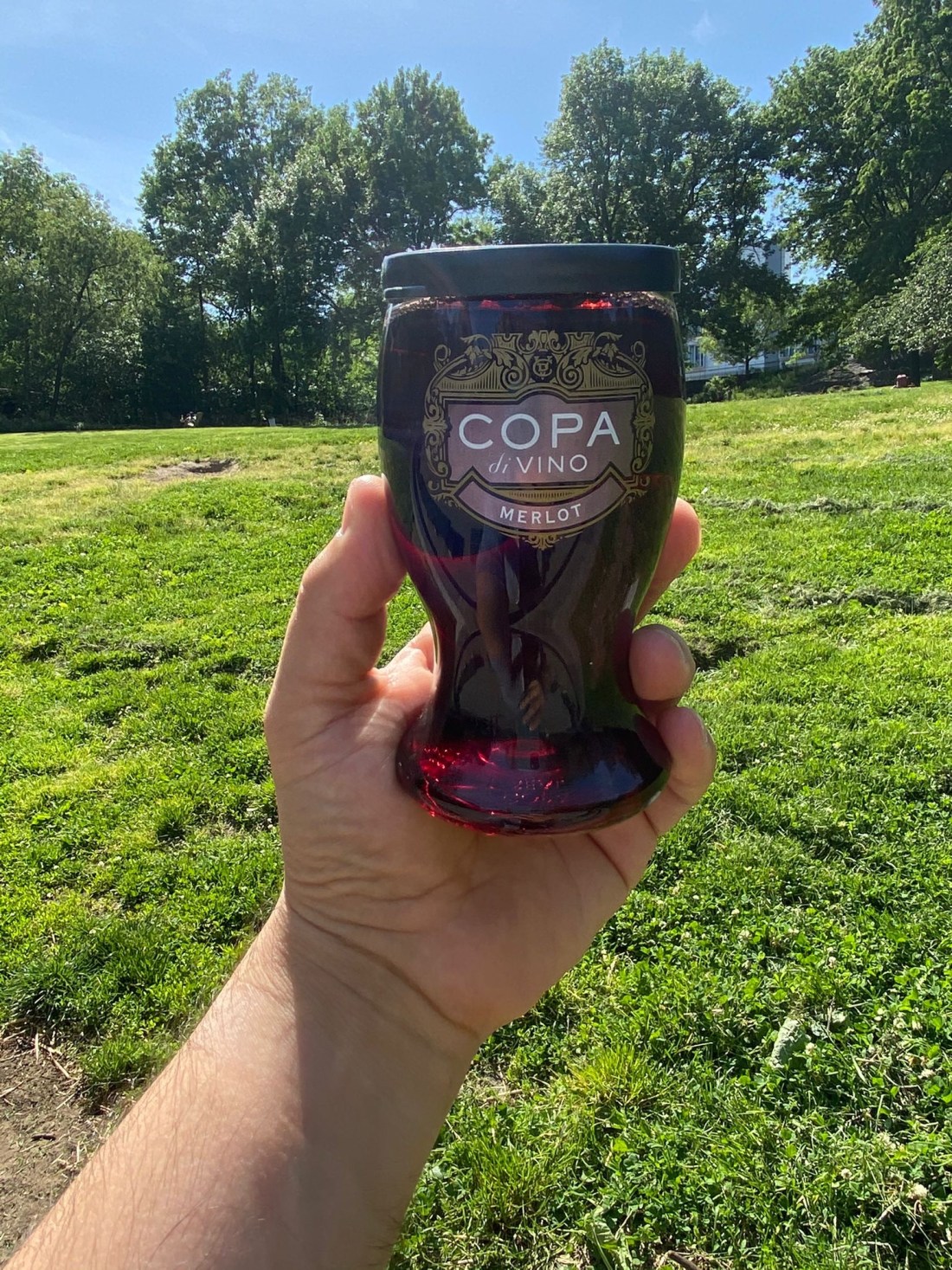 Copa di Vino: The wine by the glass that even the french will like ...