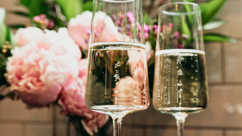 Get the Exclusive Wine Recommendations of WineDivaa • WineDivaa