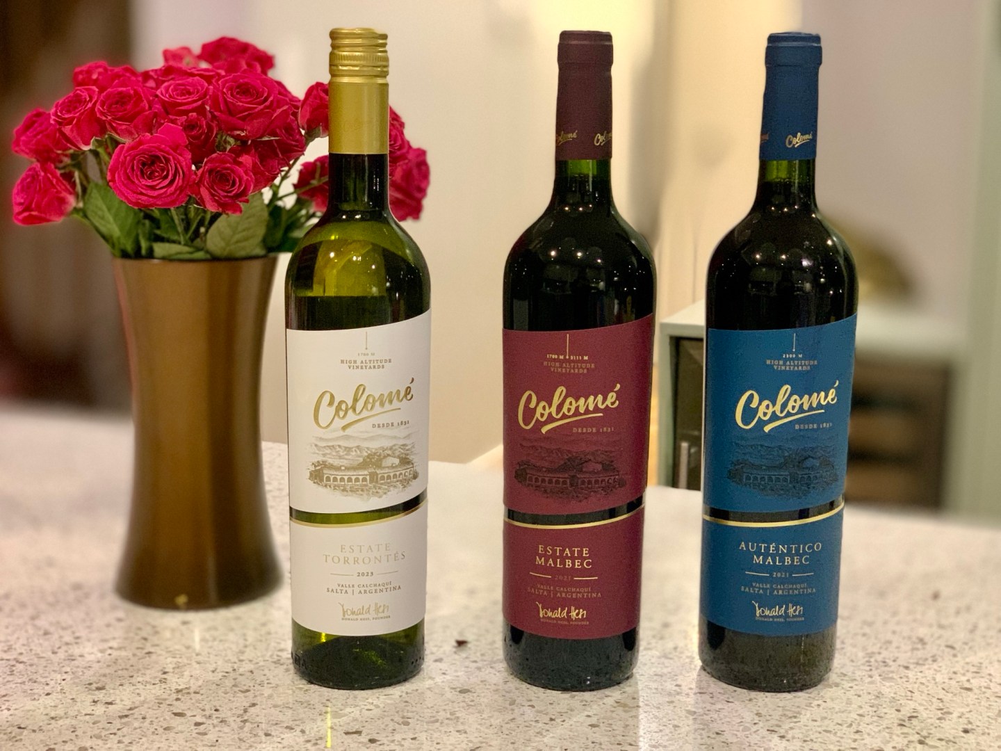 Discover Bodega Colomé the Hidden Gem of Salta Argentina • WineDivaa