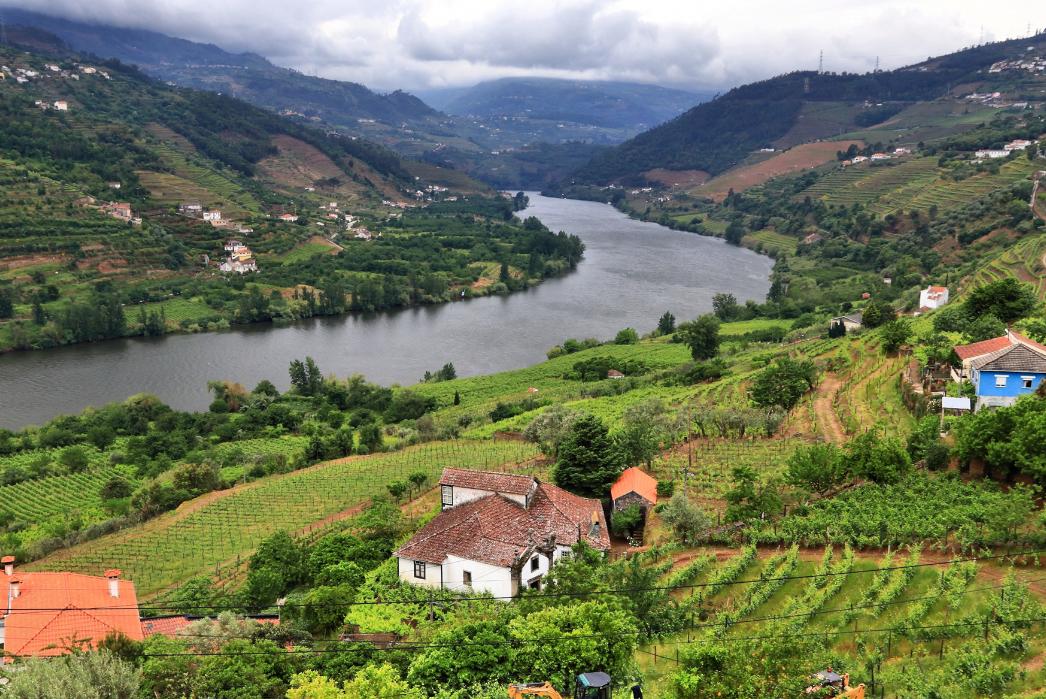 WINES OF PORTUGAL • WineDivaa